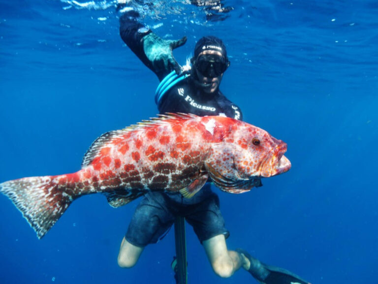31 Best Things to Do in Rincón (Fun Activities & Top Sites)