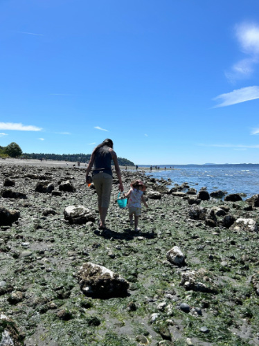 17 Seattle Beaches to Visit (By a Local)
