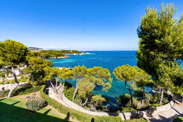 Where to Stay in Palma de Mallorca (Best Places)