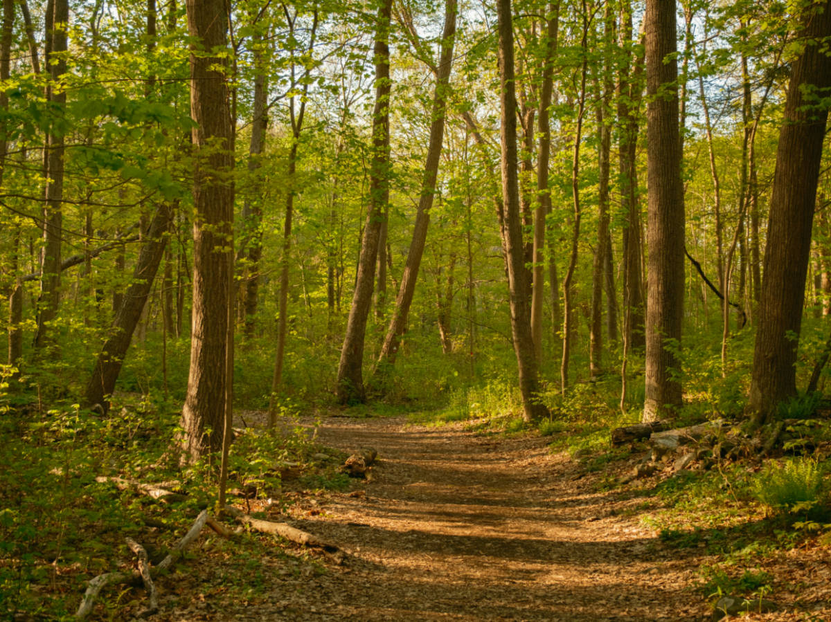 31 Best Day Trips from NYC (By a Local)