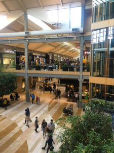The 19 Best Things to Do in Bellevue