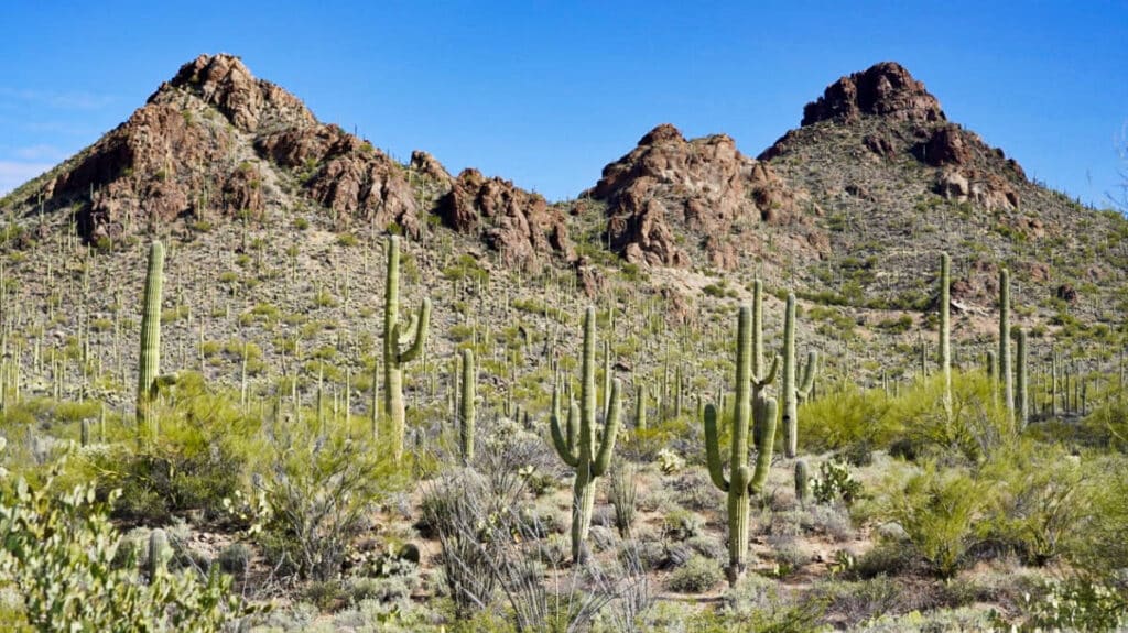 The Best Time to Visit Arizona (A Local’s Guide)