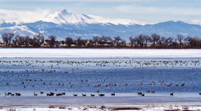 20 Fun Things to Do in Aurora