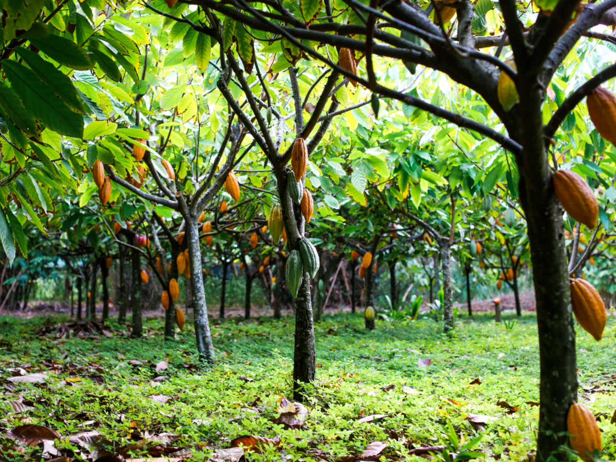 19 Things to Do in Fajardo, PR