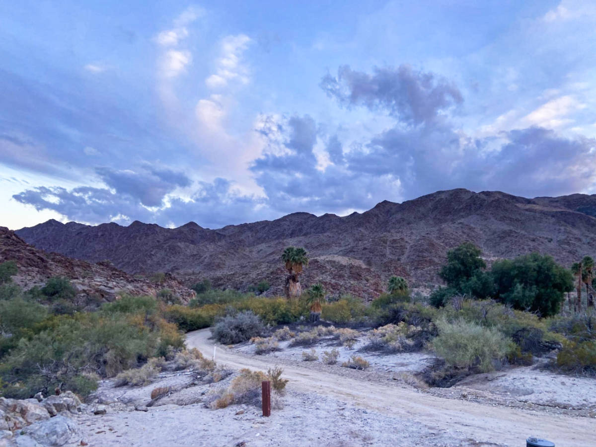 Death Valley vs Joshua Tree Compared (Pros & Cons)