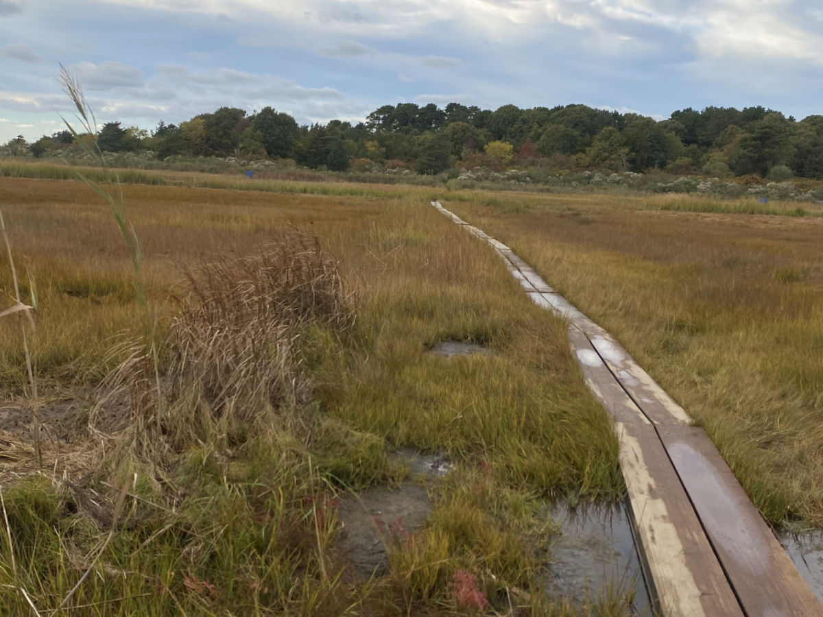 28 Best Things to Do in Cape Cod - Travel Lemming