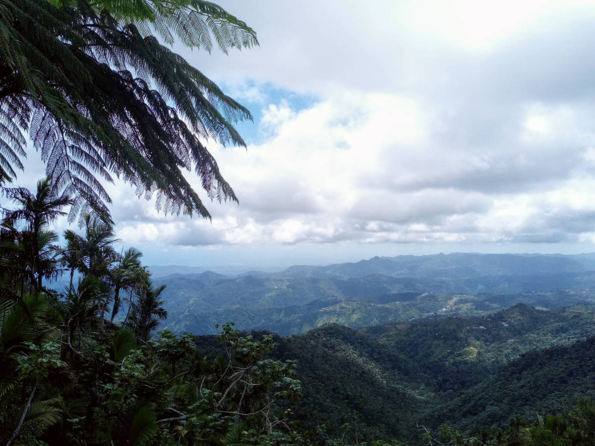 11 Puerto Rico Mountains to Explore (By a Local)