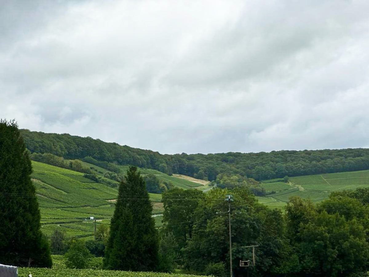 The 27 Places in France a Local Says You Should Visit