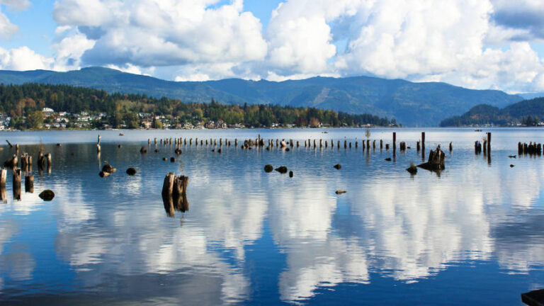 What to Do in Bellingham, WA