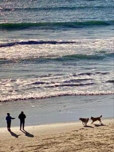 19 Ideas for What to Do in Huntington Beach