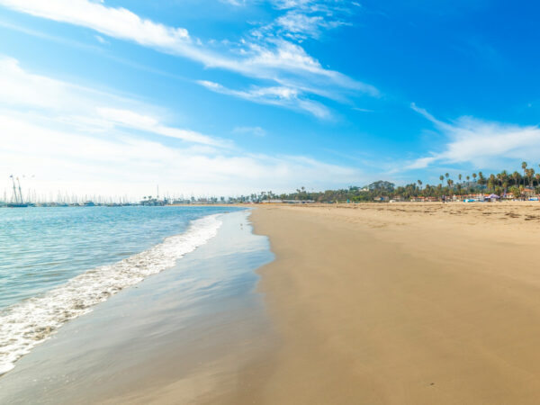 The 26 Best Beaches in California (By a Local)