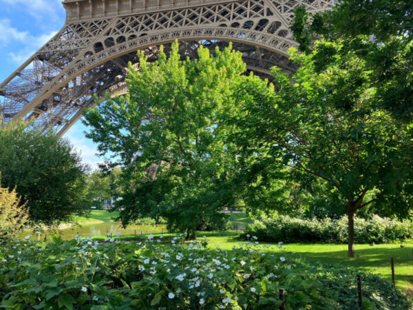 Eiffel Tower, Ultimate Guide (By a Local) - Travel Lemming