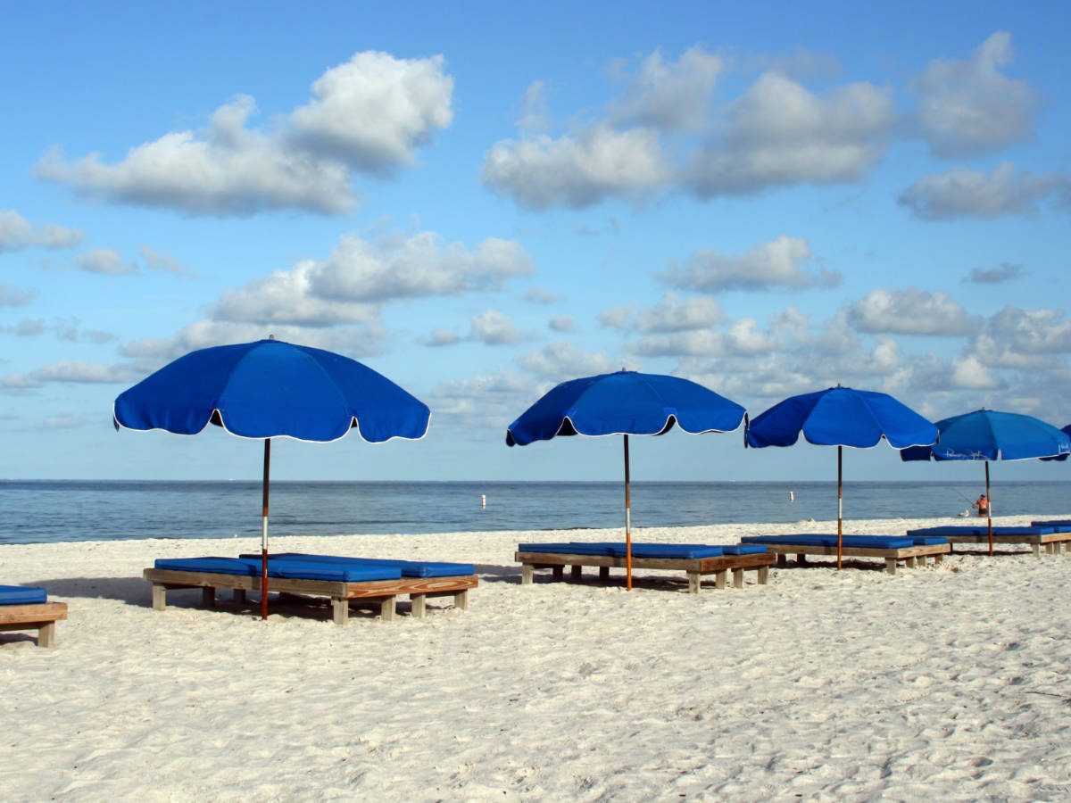Best Time to Visit Tampa (By a Local)