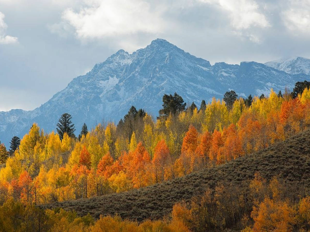 Where to Stay in Jackson Hole (Best Places) - Travel Lemming