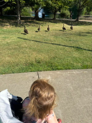 The Taylor Swift Bench in Centennial Park - Travel Lemming