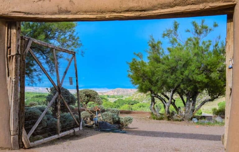 49 Epic Things to Do in New Mexico