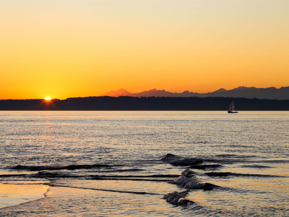 15 Best Things to Do in Ballard (By a Local)