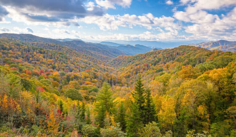 What to Do in North Carolina, According to a Local