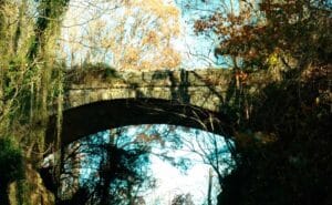 45 Best Things to Do in Asheville, North Carolina (in 2022) - Travel ...