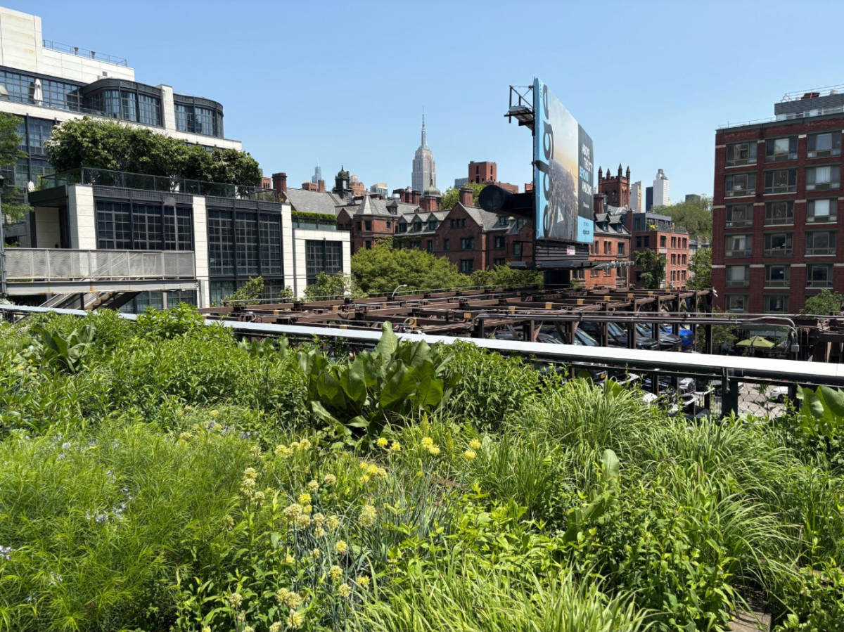 One Day in New York City (The Perfect Itinerary + Map)