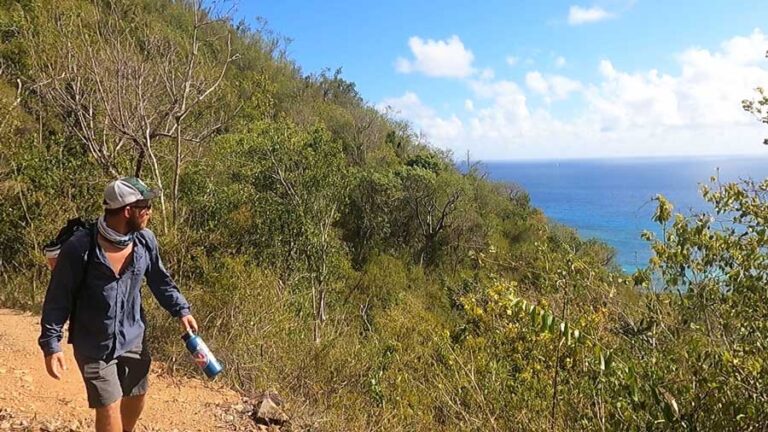 Virgin Islands National Park (Ultimate Guide)