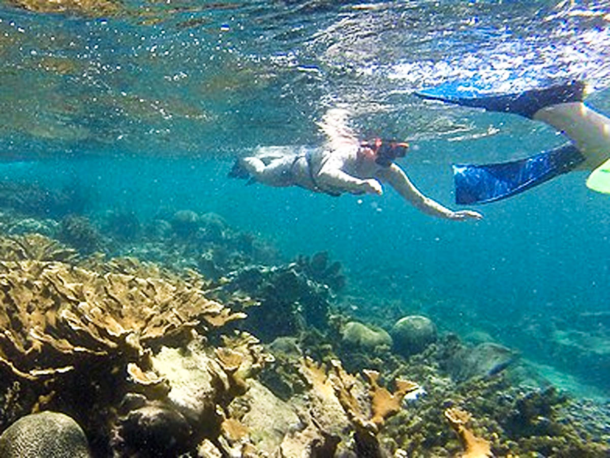 The Best Excursions from San Juan (if you're short on time)
