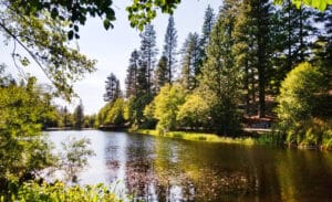 My 15 Favorite Things to Do in Idyllwild