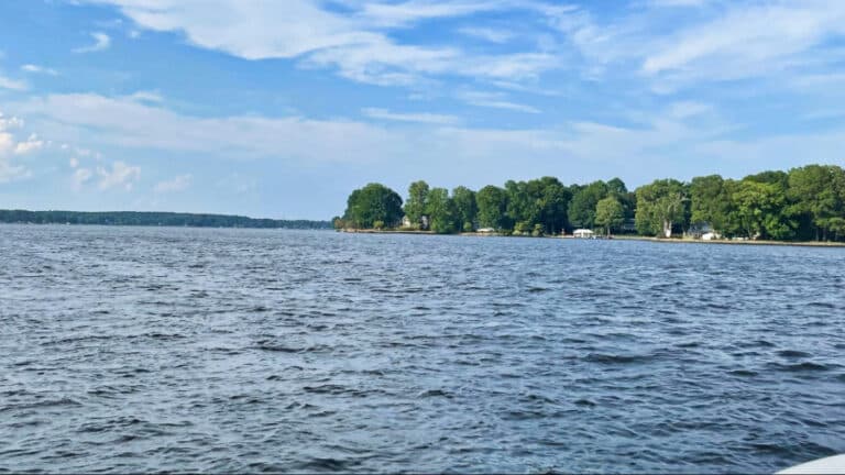 My Favorite Things to Do in Charlotte, After Living Here