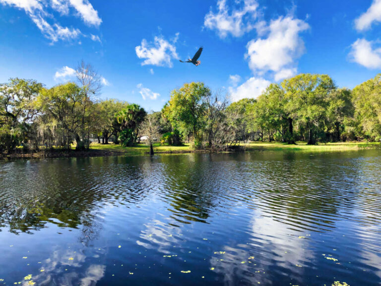 17 Best Tampa Neighborhoods (By a Local)