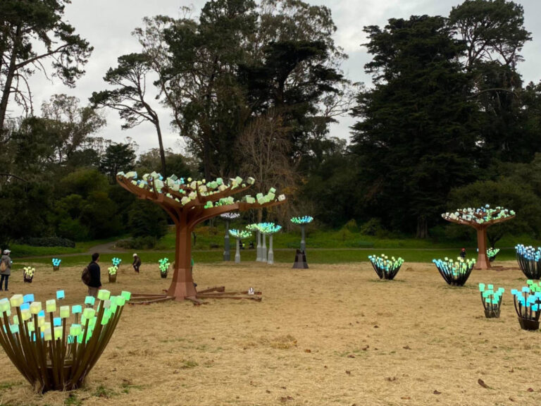 Golden Gate Park (The Ultimate Guide, By a Local)