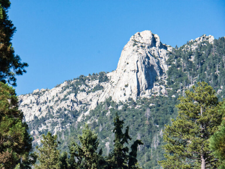 My 15 Favorite Things to Do in Idyllwild