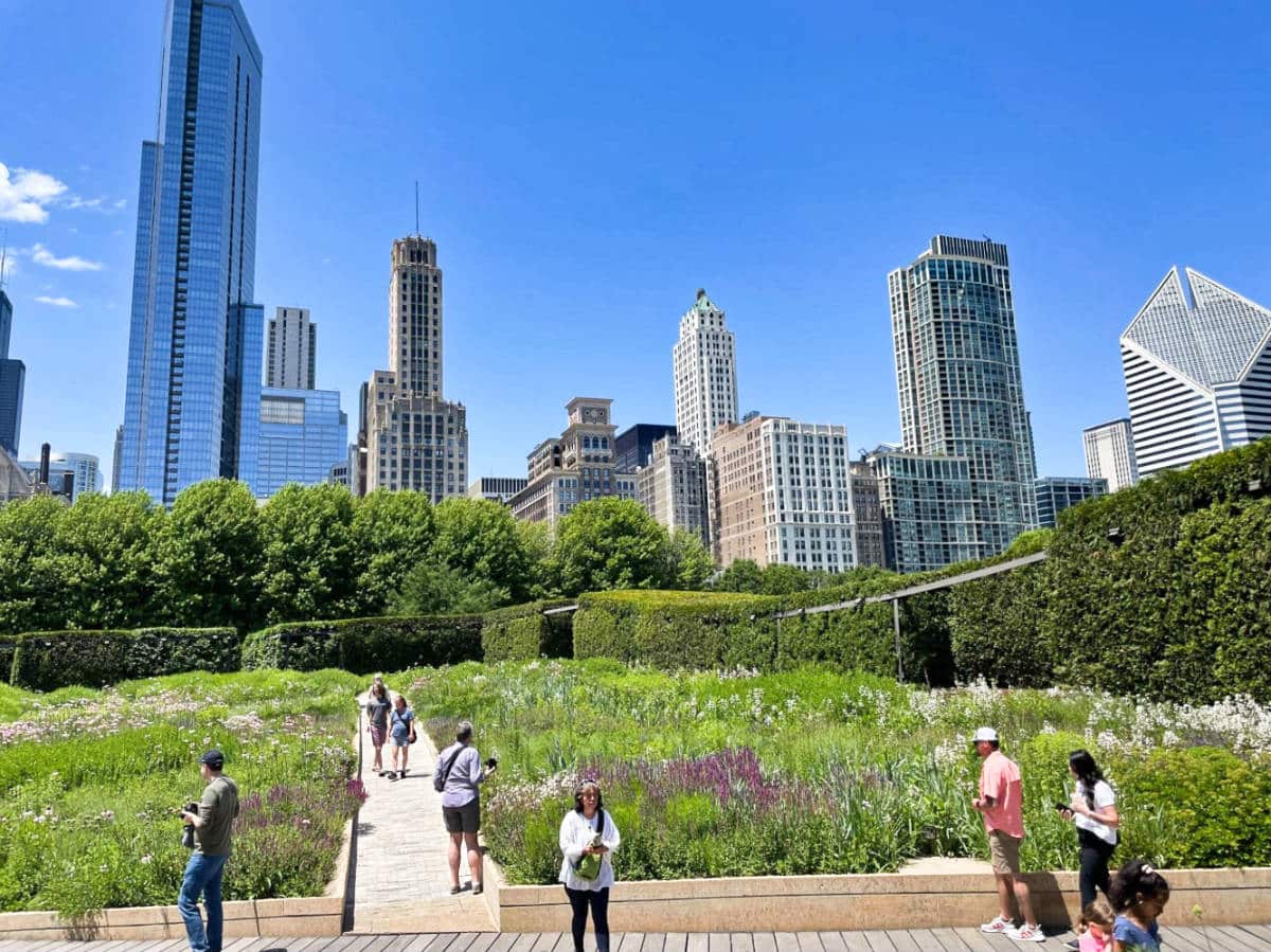 My Favorite Parks in Chicago