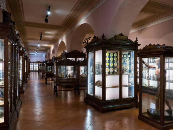 26 Best Things to Do in Naples Italy
