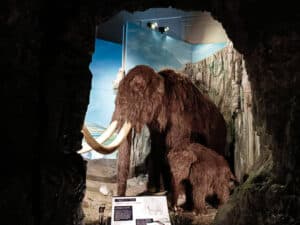 The Essential Things to Do in Cardiff - Travel Lemming