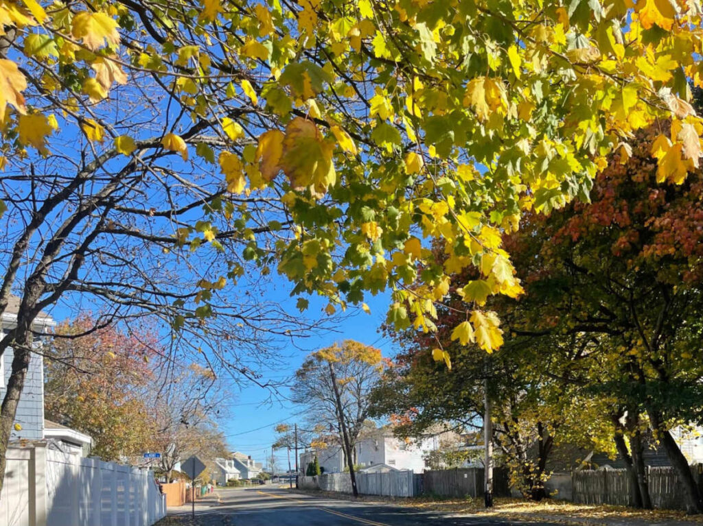 The Best Time to Visit Massachusetts (A Local’s Guide)