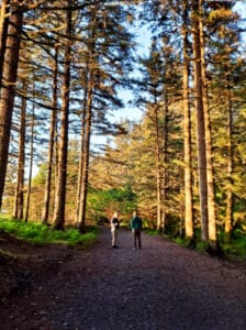 16 Epic Hikes Near Kodiak (By a Local)