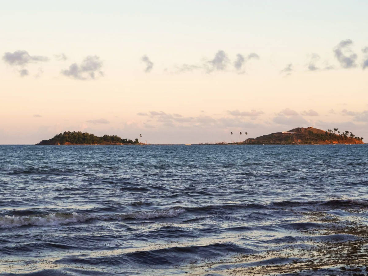 Where to Go Kayaking in Puerto Rico Kayaking (By a Local)