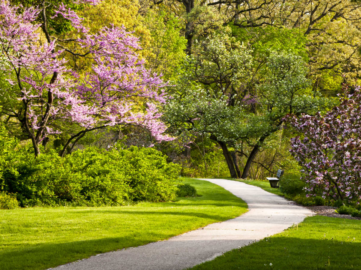 The Best Time of Year to Visit Illinois? Not Summer!