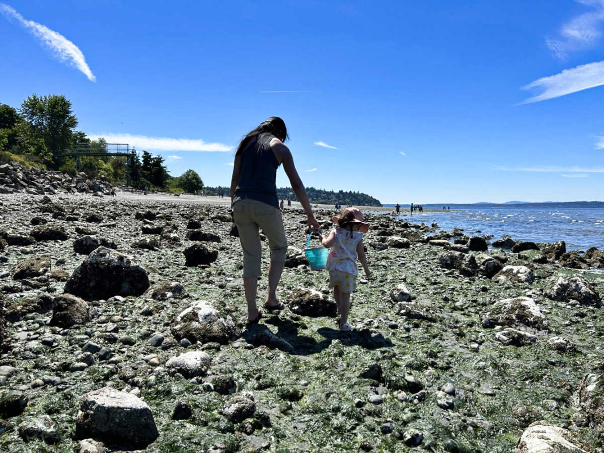 The Best Time to Visit Seattle (By a Local)