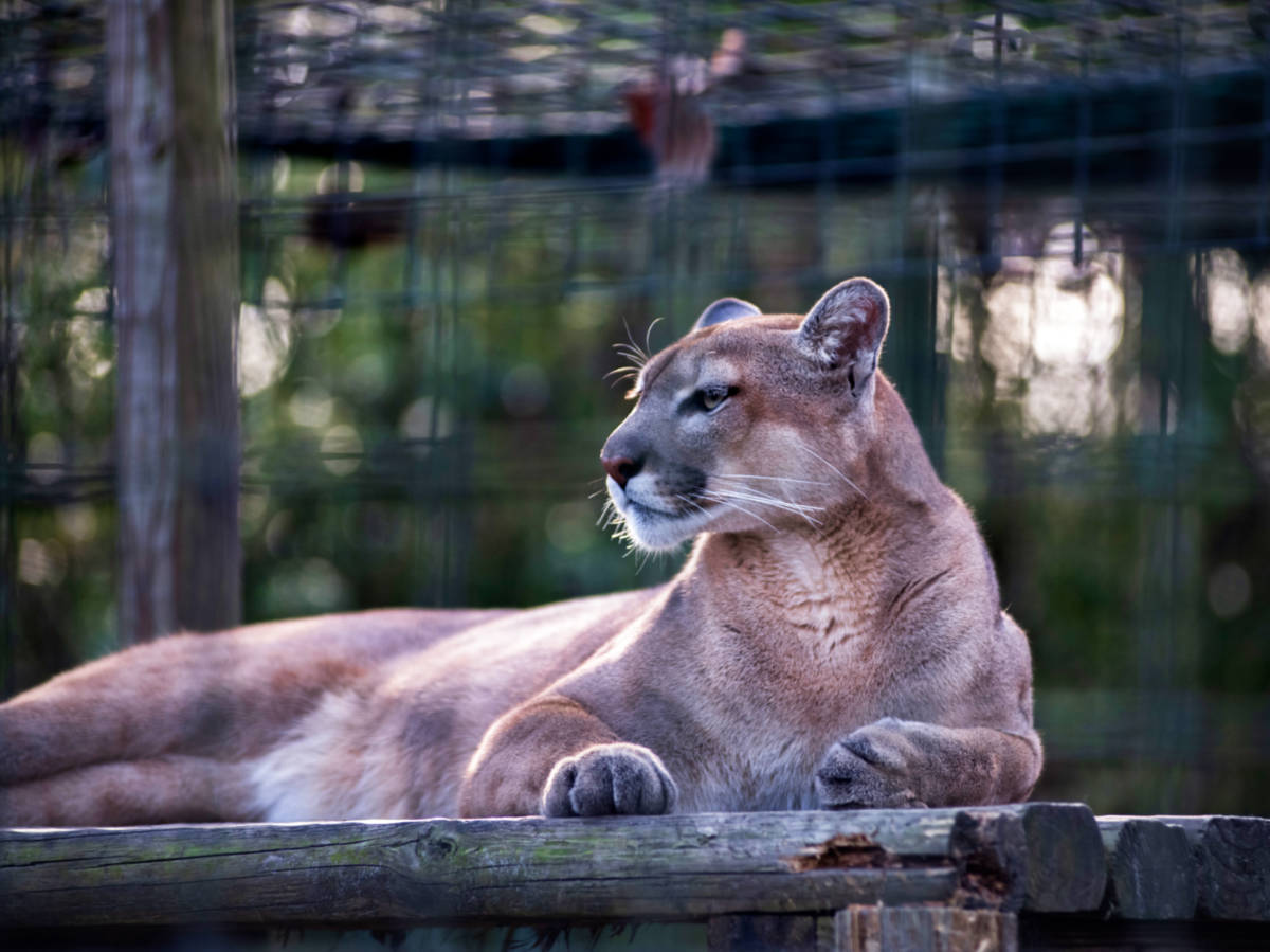 A Local's List of the Best Stuff Do in Jacksonville