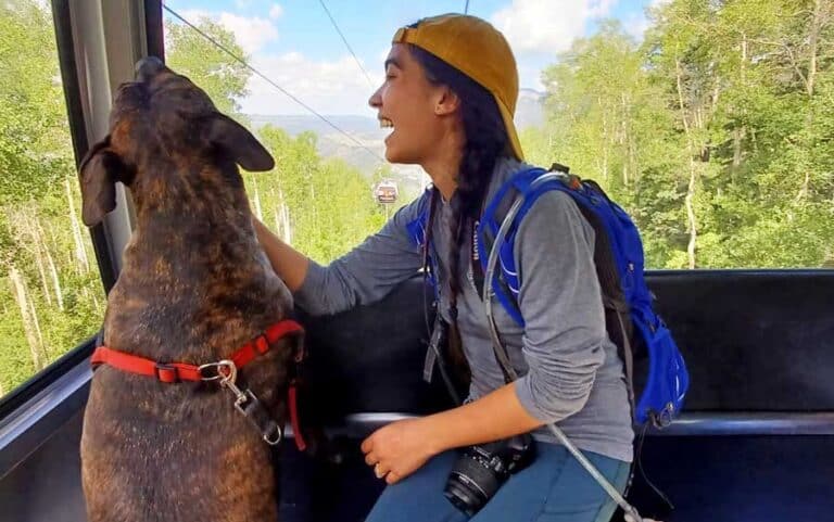 27 Epic Things to Do in Telluride, CO