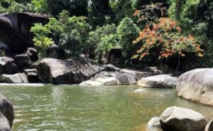 16 Best El Yunque Tours (Picked By a Local)