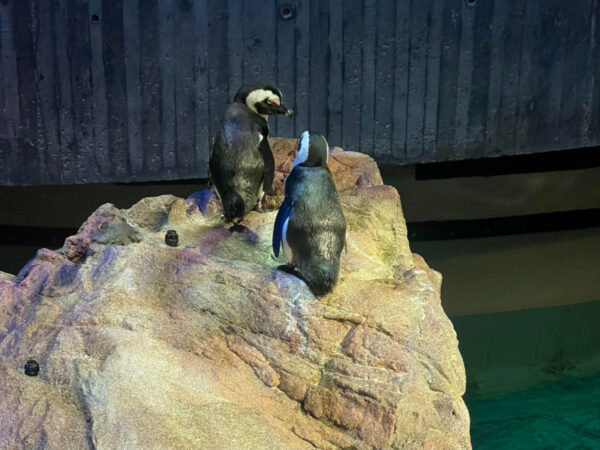 What to Do in Massachusetts - Travel Lemming