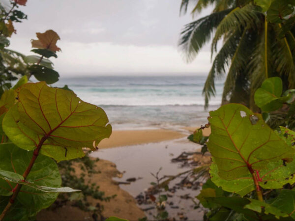 31 Best Things to Do in Rincón (Fun Activities & Top Sites)