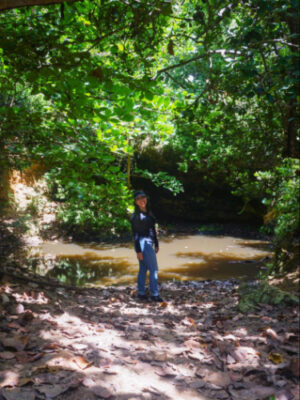 33 Epic Hikes in Puerto Rico (By a Local)