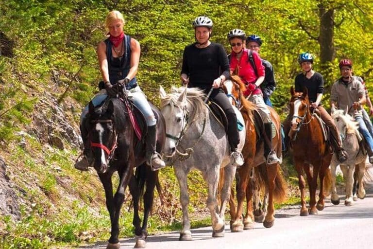 43 Best Puerto Rico Tours & Excursions (By a Local)