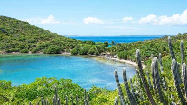Snorkeling in Puerto Rico (Local Guide + 15 Best Spots)