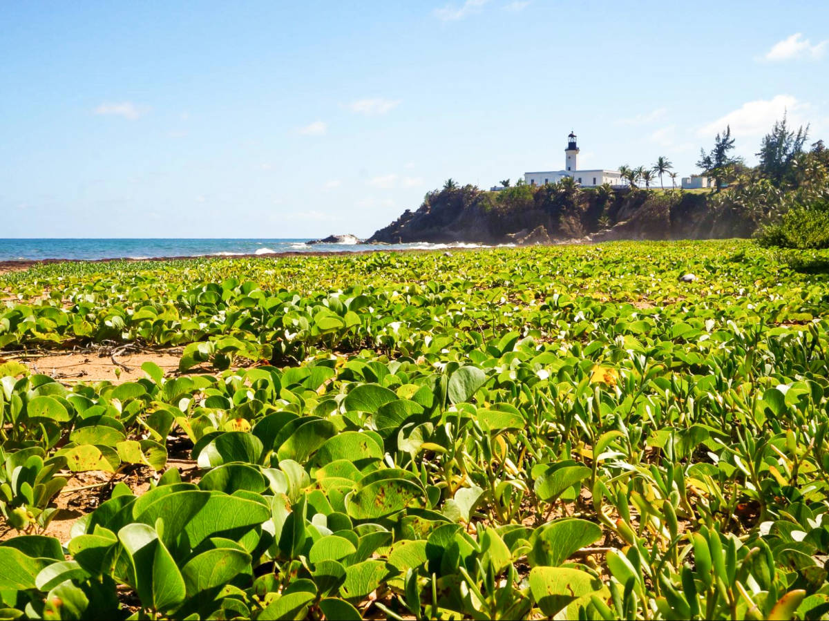 43 Famous Landmarks in Puerto Rico (By a Local)