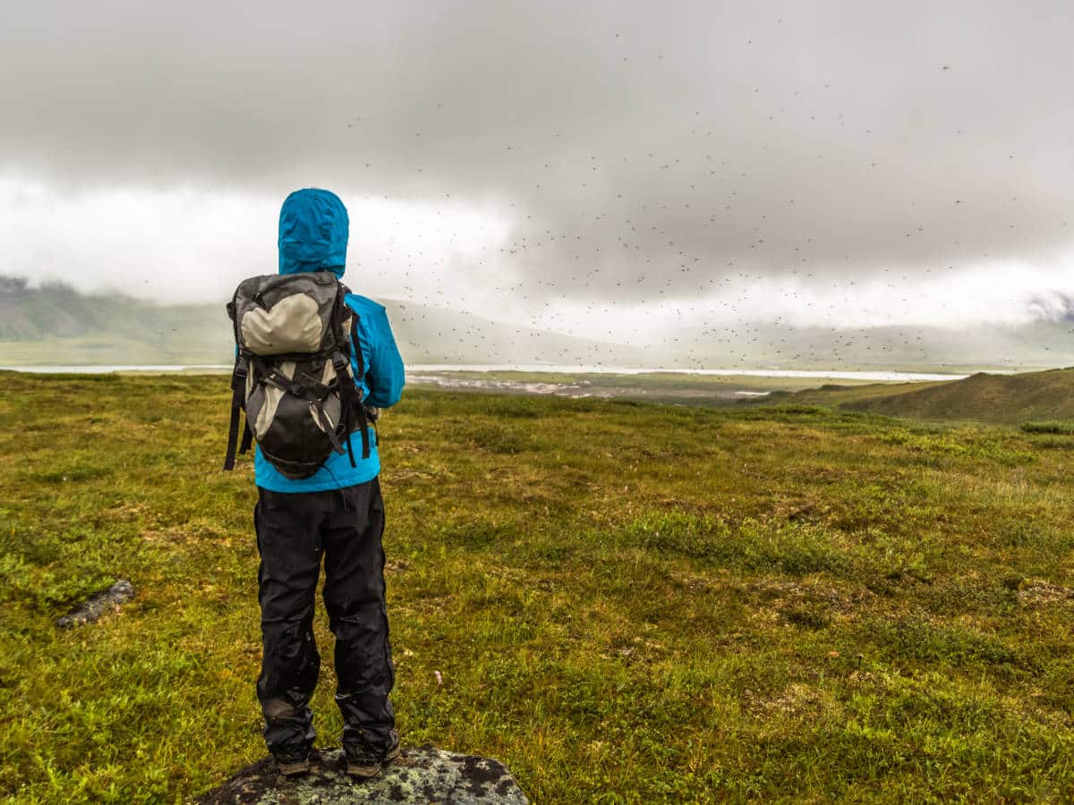 Alaska Road Trip: A Local's Guide + 8 Day Itinerary