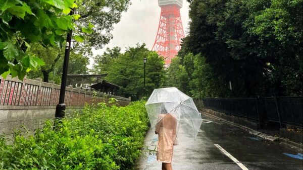 60 Best Things to Do in Tokyo (By a Local) - Travel Lemming